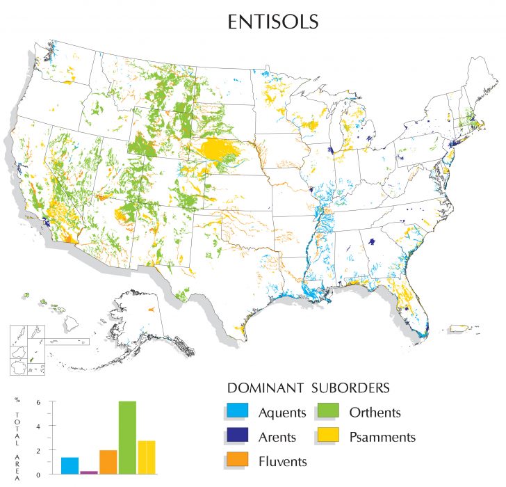 Entisols Map | Nrcs Soils - Florida Soil Types Map - Printable Maps